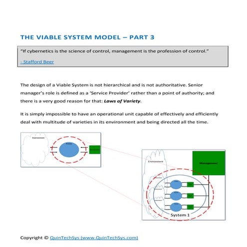 Viable System Model - Part 03 | PDF
