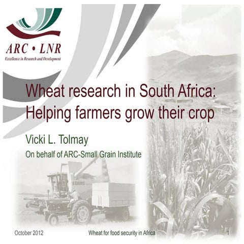 Wheat research in South Africa: Helping farmers grow their crop | PDF