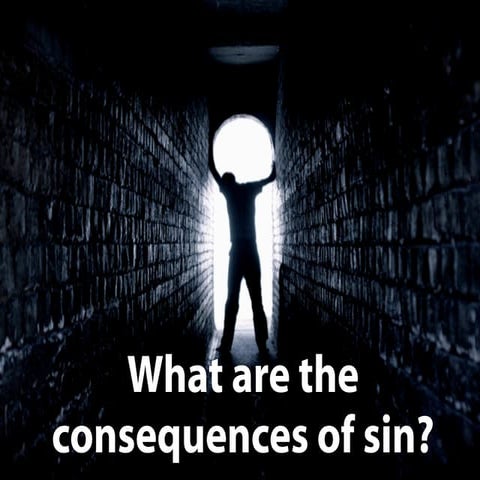 05. What are the Consequences to Sin? | PDF