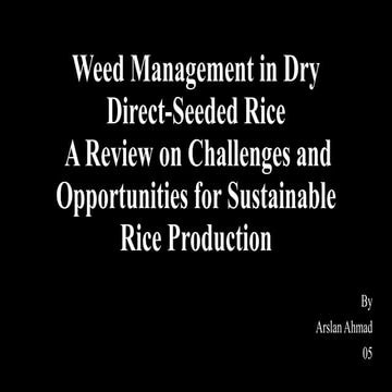 Weed Management in Dry Direct-Seeded Rice.pptx