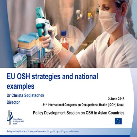 ICOH 2015 - EU OSH Strategies and national examples | PPT