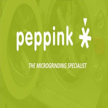 Peppink Presentation | PDF