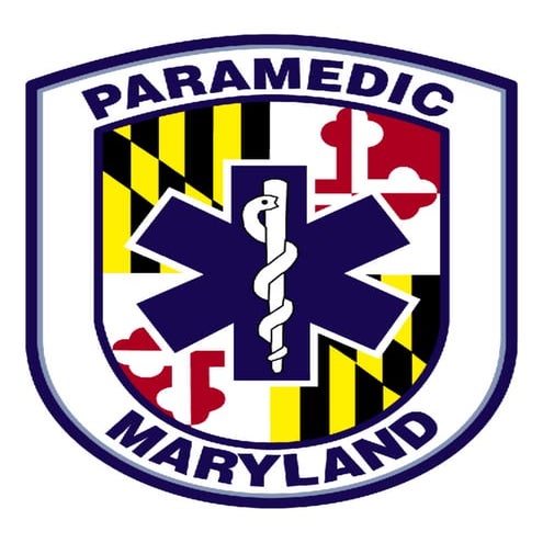 paramedic patch | PDF | Free Download