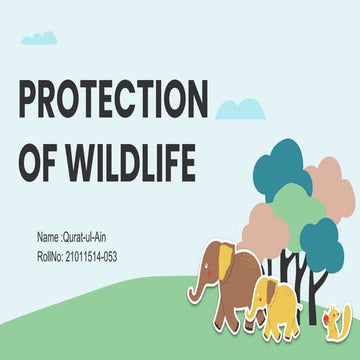 Protection of wildlife, Wildlife management | PPTX