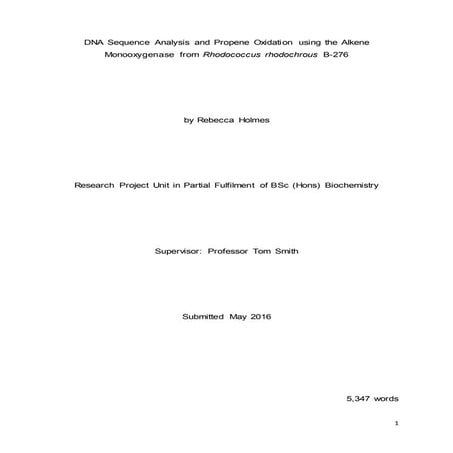 Finished Dissertation | PDF