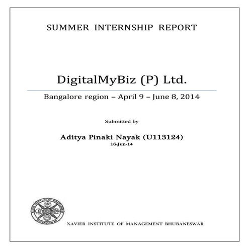 XIMB_Summers Report_U113124_Aditya Pinak Nayak | DOCX | Internet | Computing