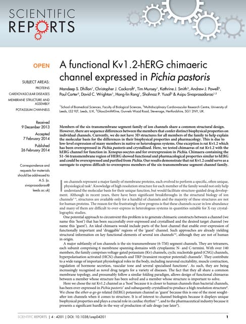 Herg assay,Structure, Various screening methods and Advantages | PPTX
