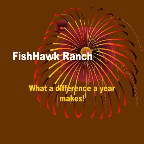 FishHawk Ranch power point aerial year comparison | PPT