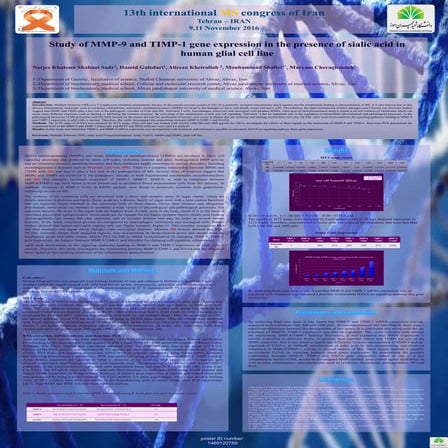 MS Poster | PDF