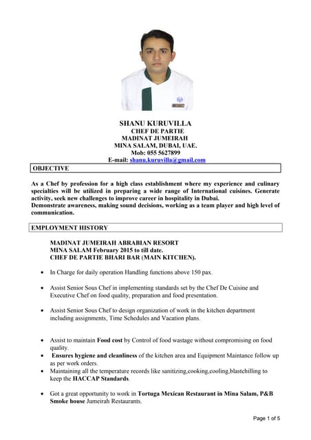 Bikram Chef cv.PDF