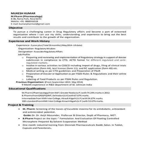 Mukesh resume | DOCX