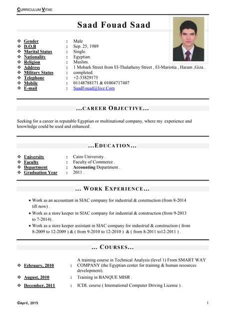 Mahmoud Attia CV 2019 | PDF