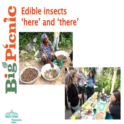 Entomophagy: why eat insects? | PPTX