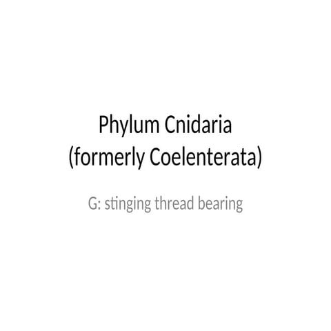 05 ppt cbidaria ppt 05 ppt Cnidaria.ppt