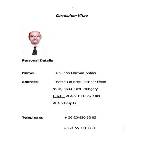 CV UAEU | PDF