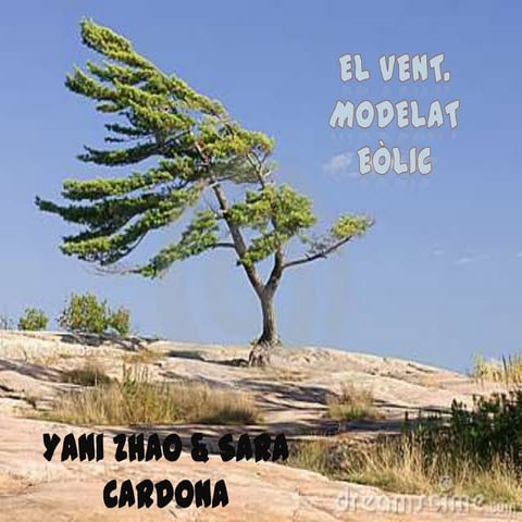 05 el vent yani zhao sara cardona | PPTX