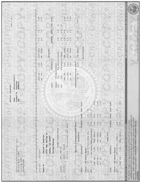 Mira Boyadzhieva - University of South Florida Transcript | PDF