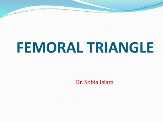 Thigh - Ant.Compartment - Anatomy | PPT