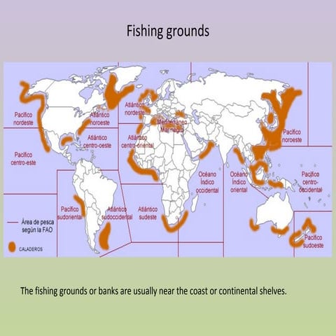 Fishing | PPT