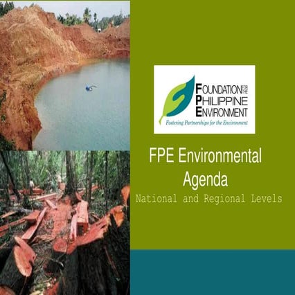FPE Environmental Agenda: National and Regional Levels | PPT