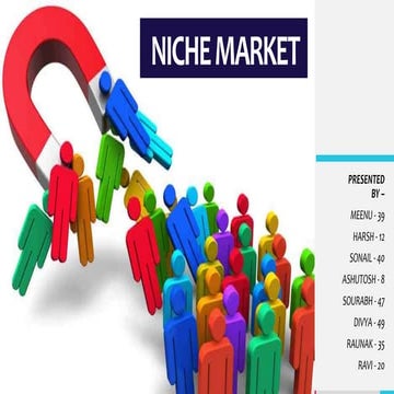 what is Niche market and its advantages and disadvantages | PPTX