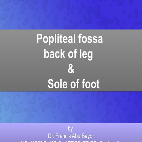Sole of foot | PPTX
