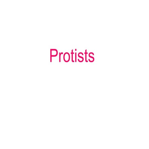 05 protists | PPT