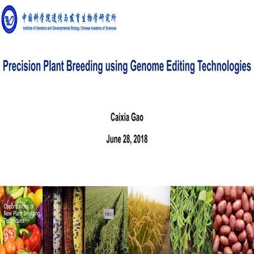An overview of agricultural applications of genome editing: Crop plants ...