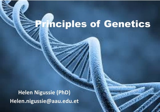 Sex Determination Chromosomal Theory Of Sex Determination Pptx Reproductive Health