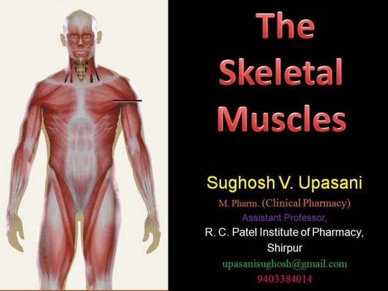 TUPPERWARE ABOUT BPA & PRODUCT MATERIALS symbols | PDF