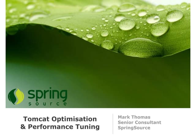 Tomcat Optimisation And Performance Tuning Ppt