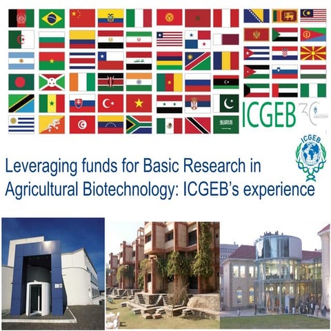 Leveraging Funds for Basic Research in Agricultural Biotechnology: the ICGEB Experience | PDF