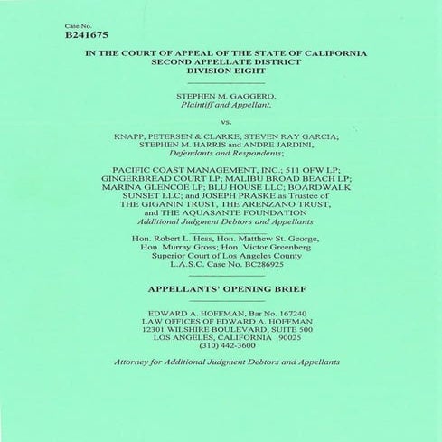 06 24-13 appellants' opening brief | PDF