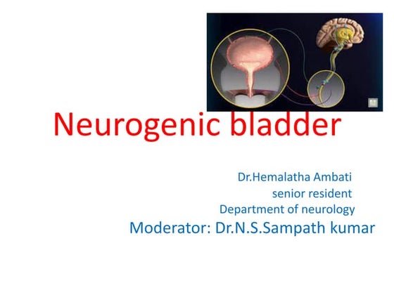 Bladder innervation | PPTX