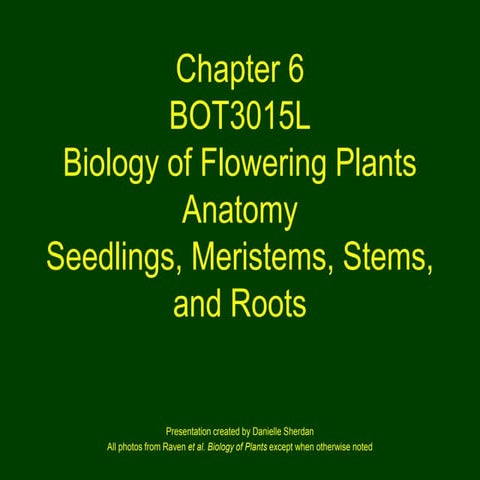 Plant Anatomy-Morphology study.......ppt