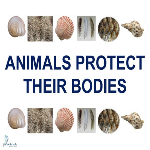 ANIMALS PROTECT THEIR BODY | PPS | Birds | Pets