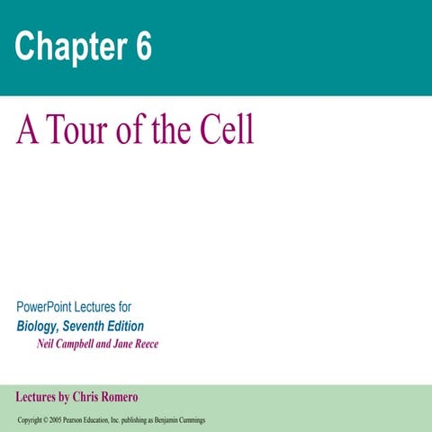Cell (ppt. lecturers for Biology,7th Edition)lecturers by Chris Romero ...
