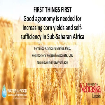 Good agronomy is needed for increasing corn yields and self-sufficiency ...