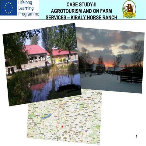 CASE STUDY: KIRÁLY HORSE RANCH | PPT