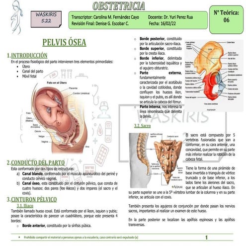 06 Obs 16 02 Ginecologia Pelvis ósea Pdf
