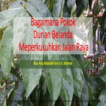 Pokok lemuni meperkukuhkan jalan raya2 | PPTX