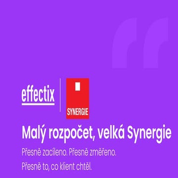 Malý rozpočet, velká Synergie (Case study Effectix) | PDF