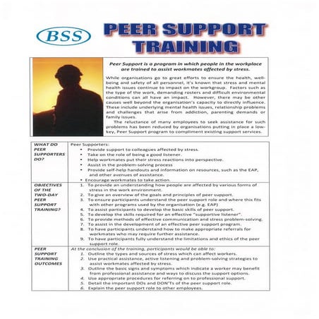 Peer Support Training | PDF