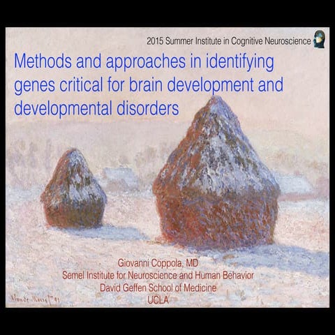 UCSB Summer Institute in Cognitive Neuroscience, June 29 2015 | PDF