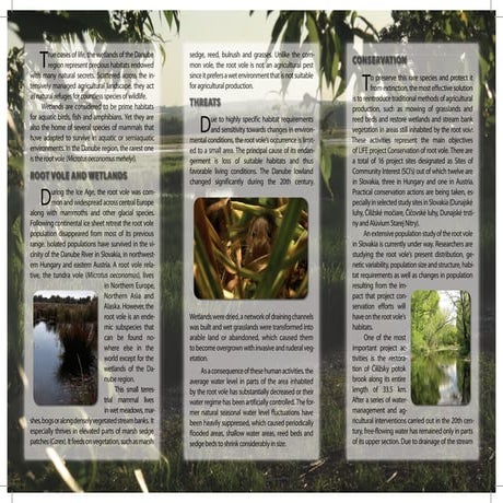 Wetland Conservation Project - Brochure | PPT