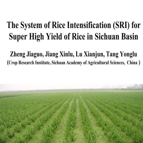0632 "The System of Rice Intensification (SRI) for | PPT