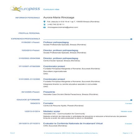 CV-Europass-20170107-Rincioaga-RO | PDF