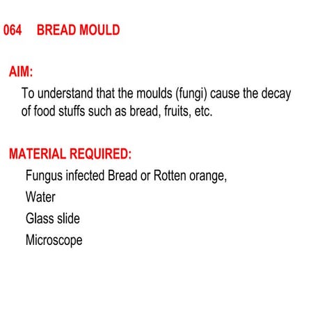 064 bread mould | PPT
