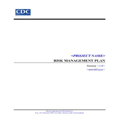 CDC Risk Mgmt Template | DOCX