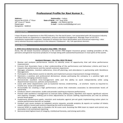 Professional Profile - Ravi | PDF